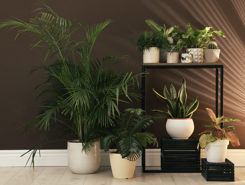 UTMOST光的故事-SDL智慧光谱技术-LED照明技术-UTMOST官网