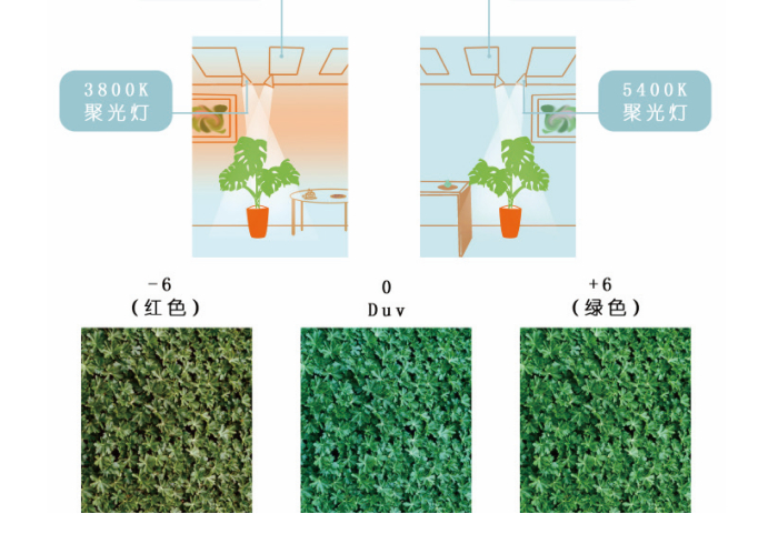 UTMOST光的故事-SDL智慧光谱技术-LED照明技术-UTMOST官网